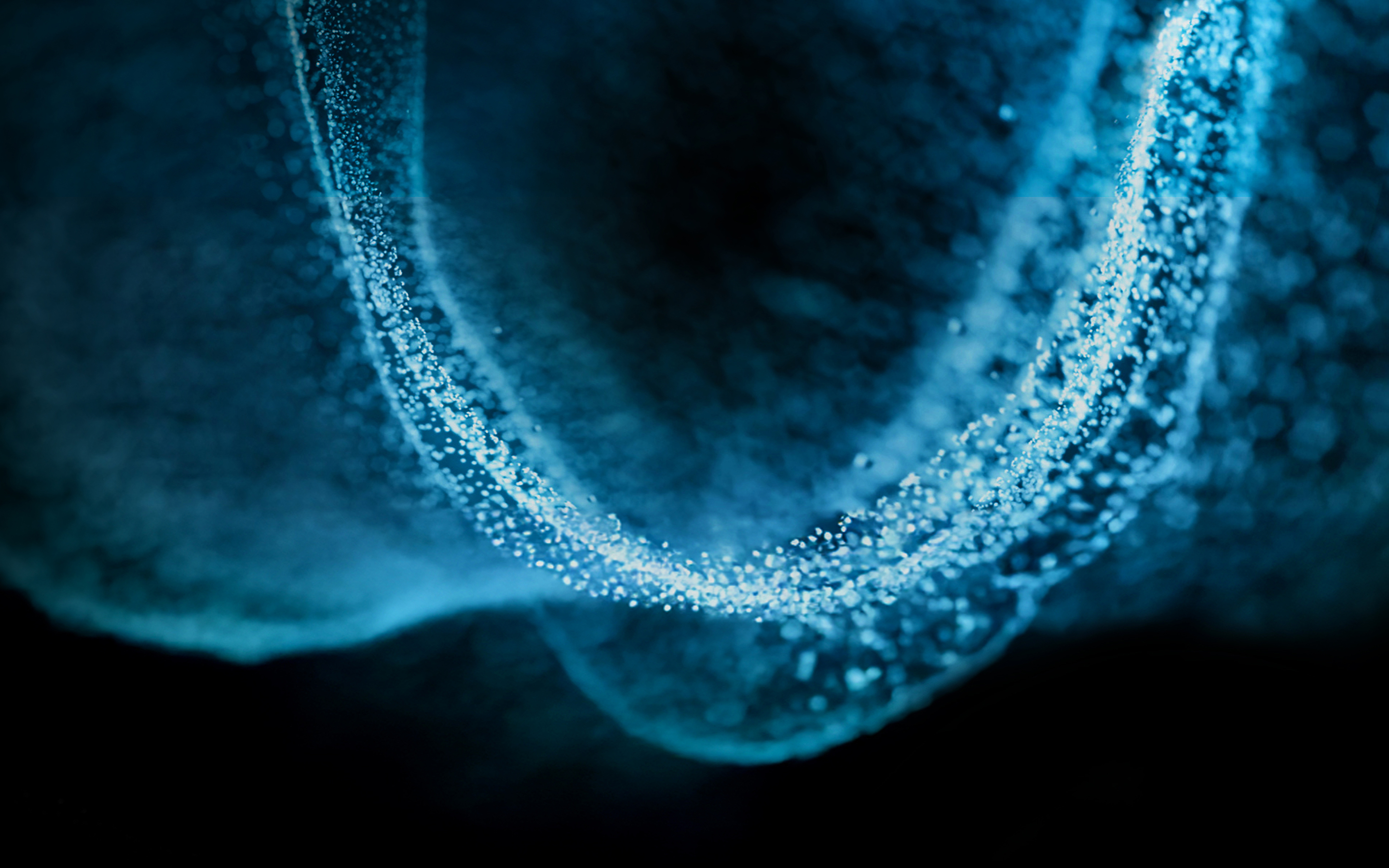 Investment trends 2025 - Sogeti Luxemburg